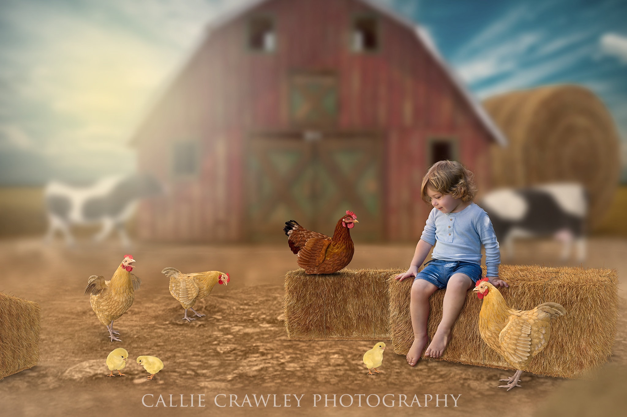 Farm Background. Digital Background. Backdrop. Composite. Chickens. Cow ...