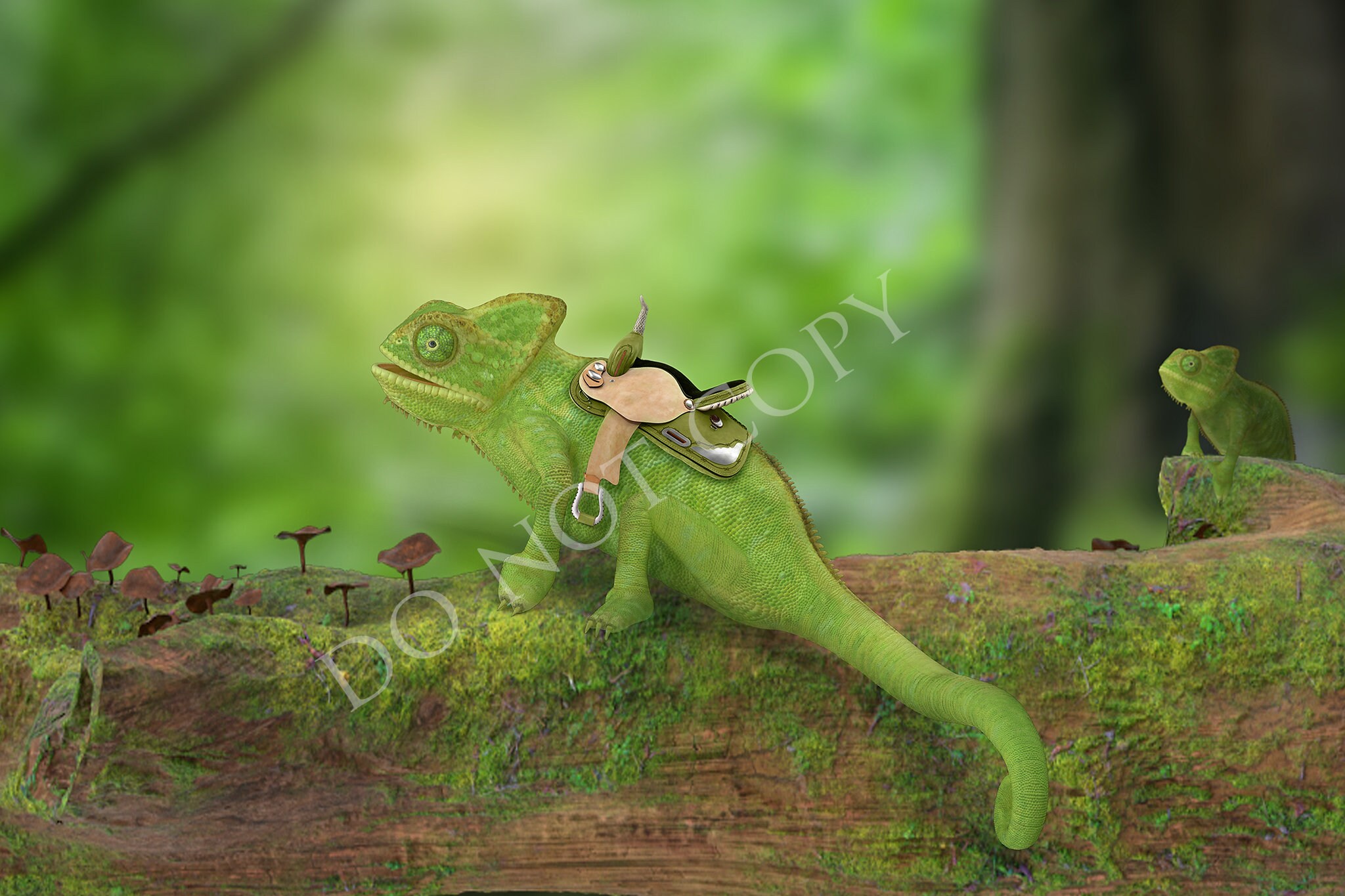 Riding a Lizard. Digital Background. Backdrop. Composite. Photoshop ...