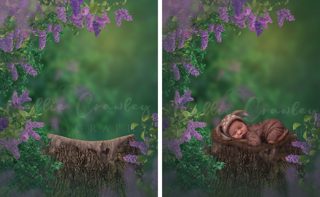Newborn Digital Background, Floral Overlay, Lilacs, Outdoor Digital ...