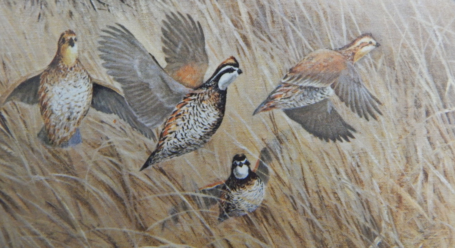 Maynard Reece Art Framed Matted Art Collectible Art Print - Etsy