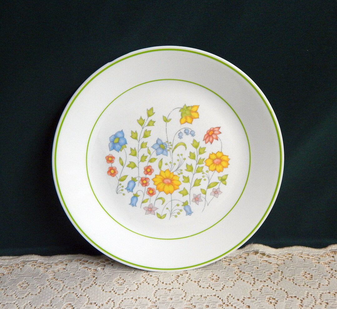 Corelle Meadow Plate - Corelle Meadow Dinner Plate by Corning ...
