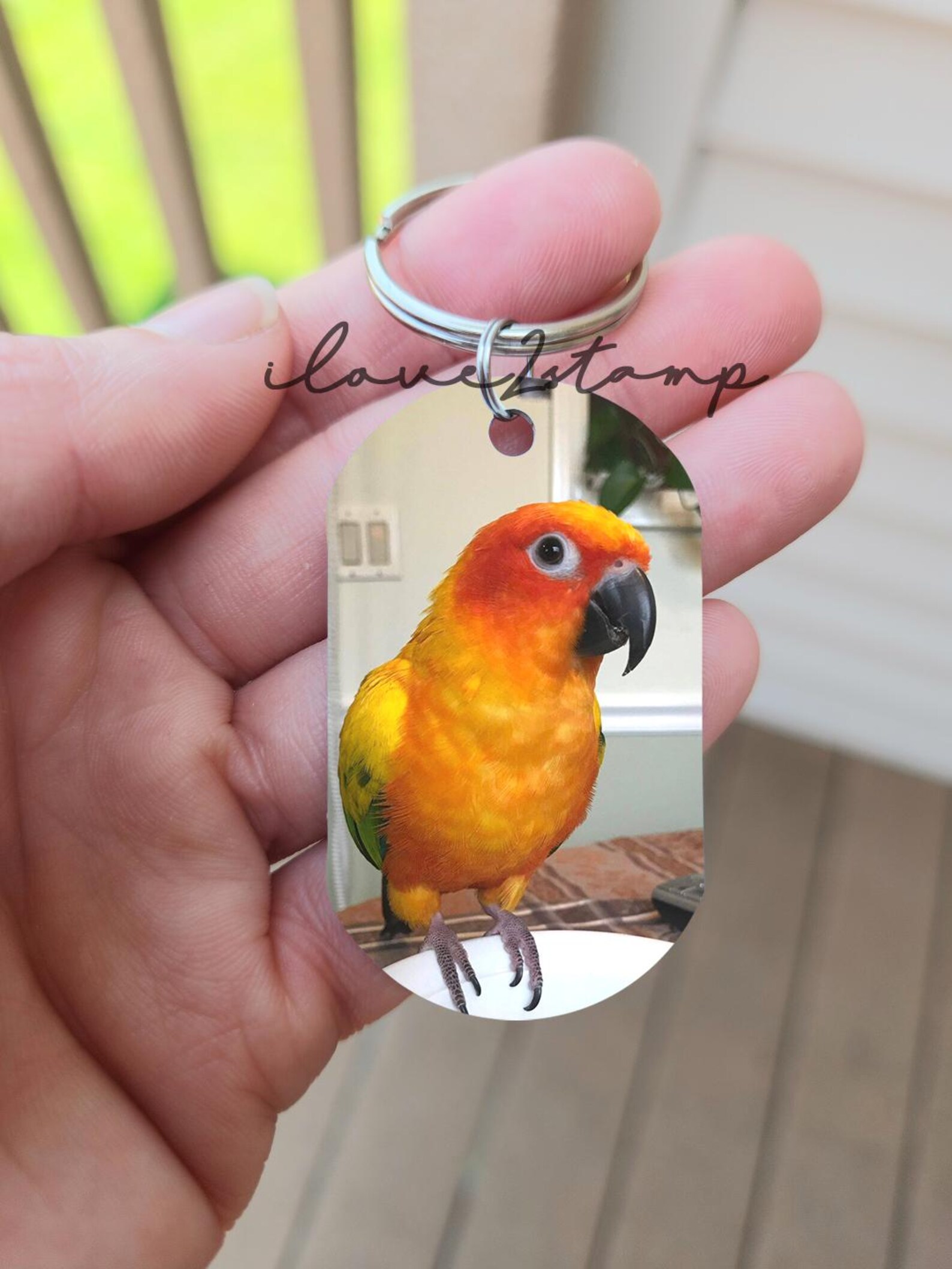 Bird Memorial Gift, Loss of Bird Gift, Sympathy Gift for Loss of Pet ...