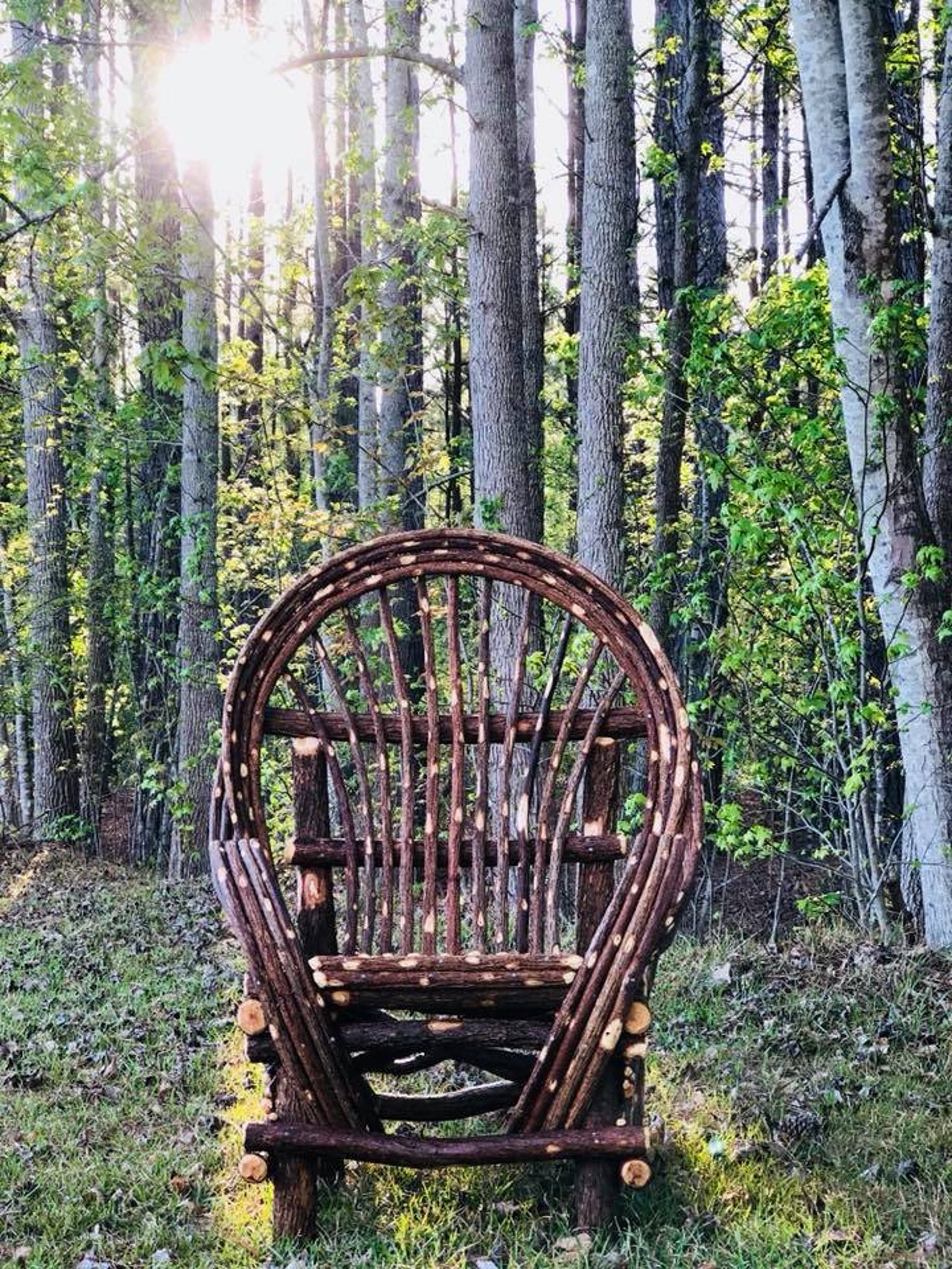 Handmade Twig Willow Chair ** Bentwood Chair - Etsy