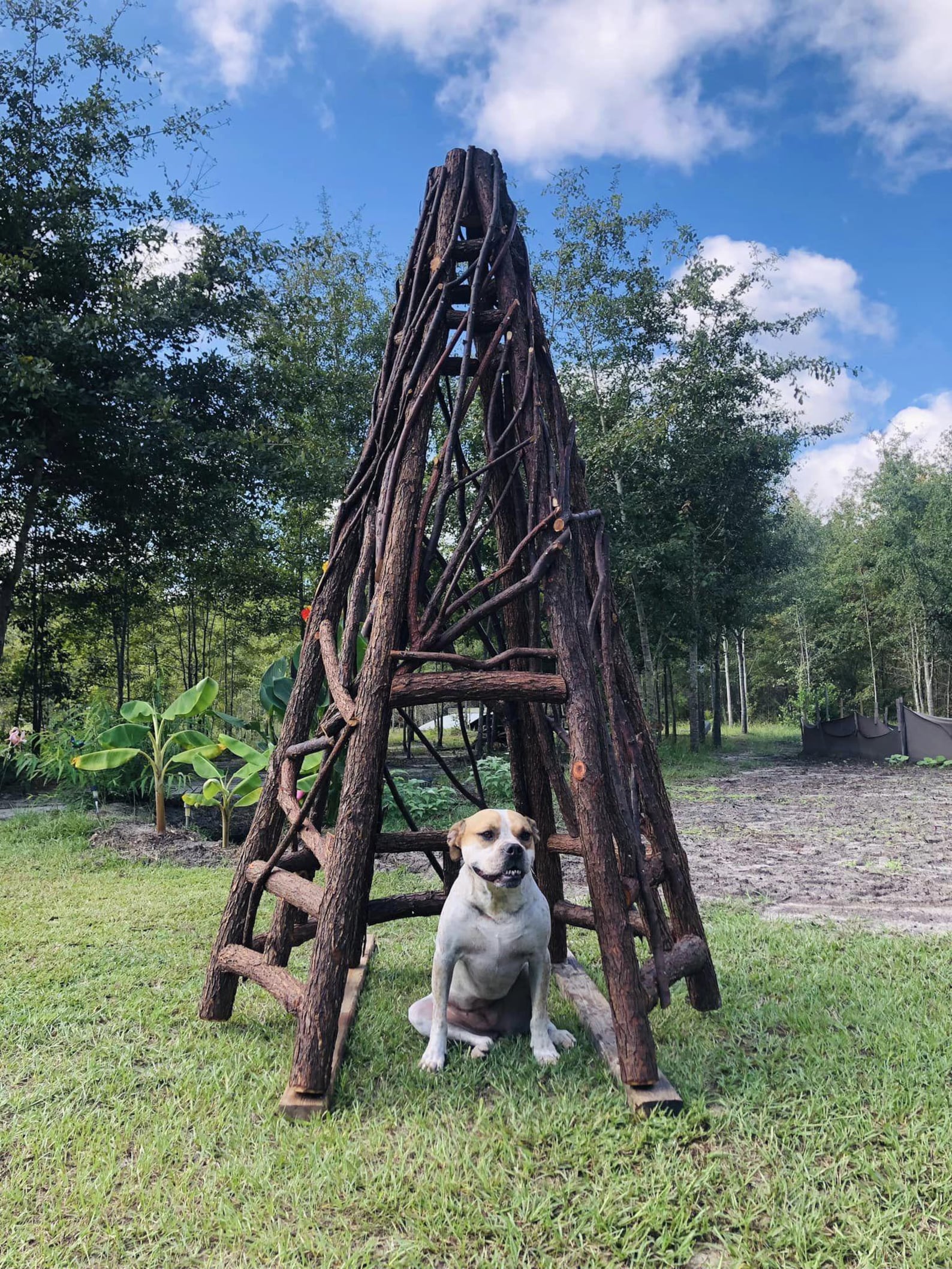 Handmade Willow Garden Teepee: Rustic Twig Ornament (7ft) - Etsy