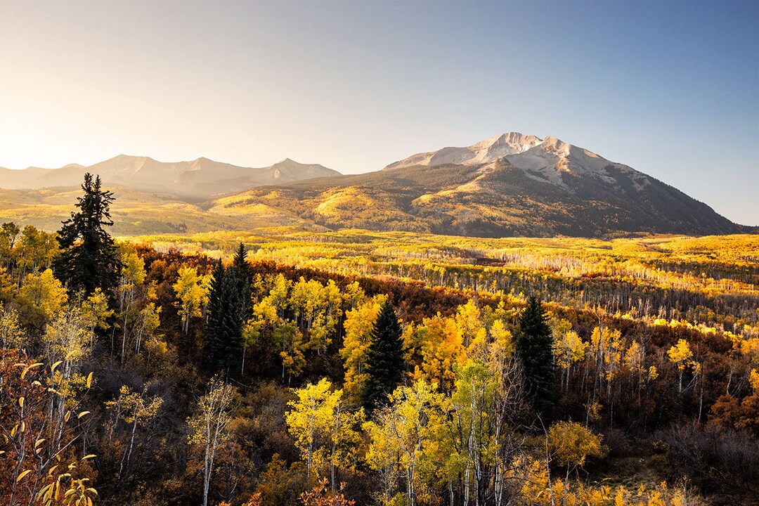 Kebler Pass Photo | East Beckwith Autumn Views | Quaking Aspen Fall ...