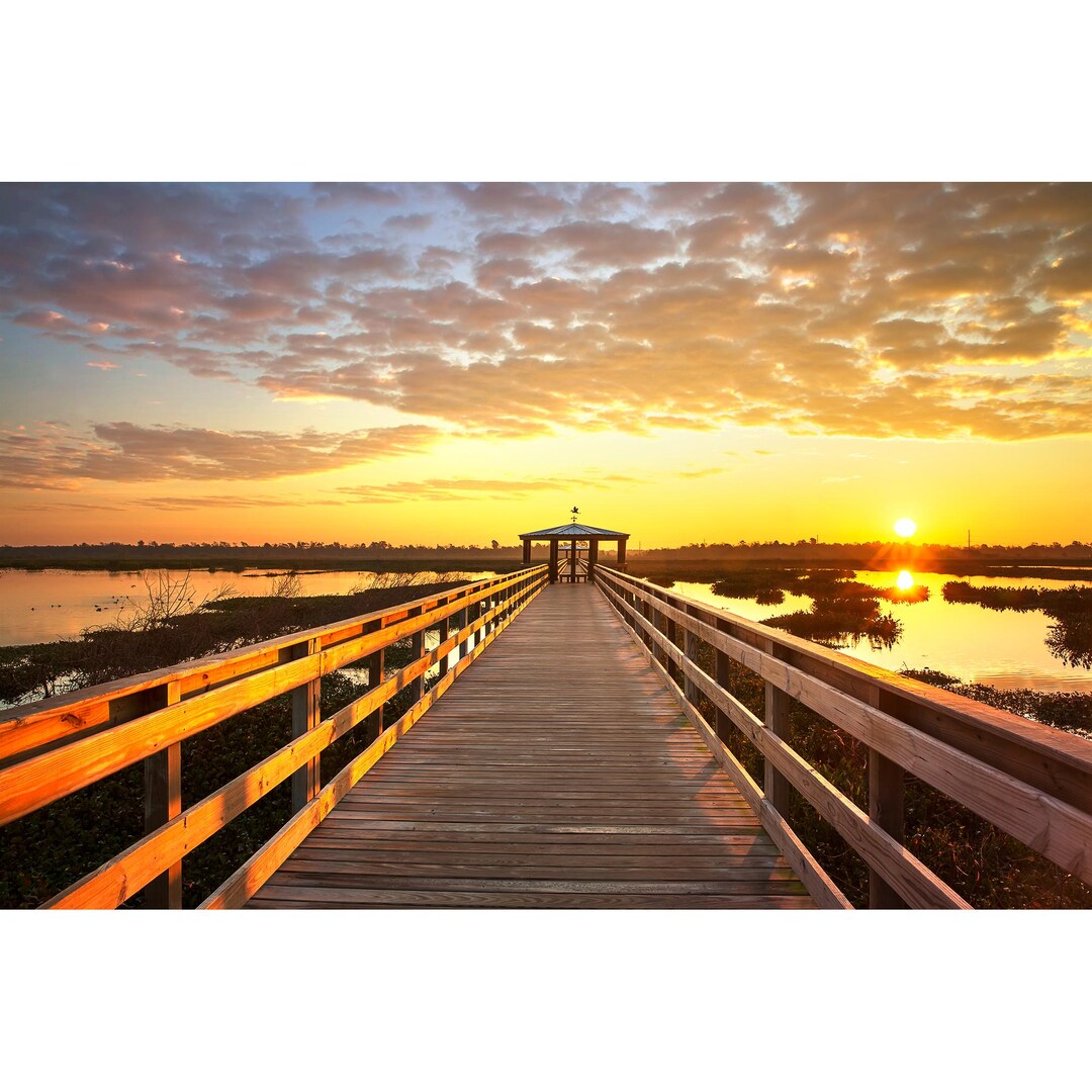 Beaumont Photography, Cattail Marsh Sunrise, Beaumont Texas, Cattail ...