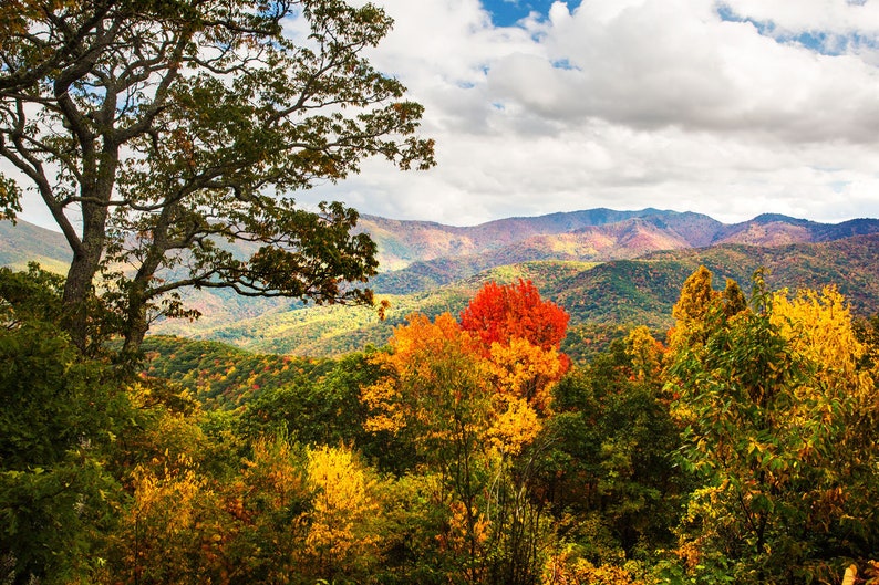 Blue Ridge Parkway Photo Set Blue Ridge Fall Foliage North - Etsy