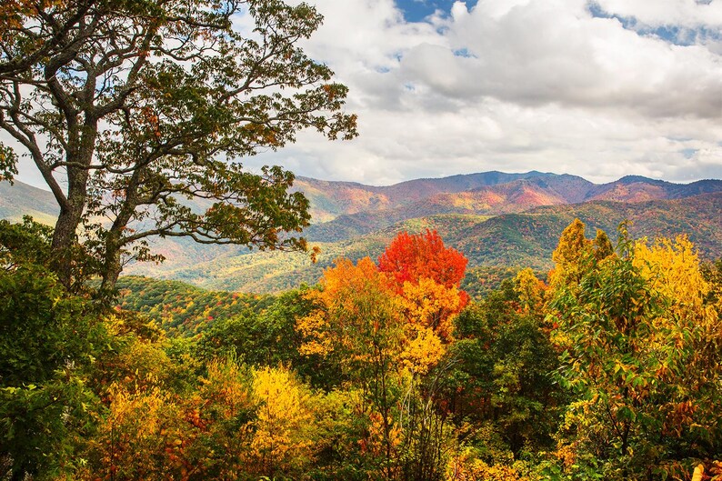 Blue Ridge Parkway Photo Set, Blue Ridge Fall Foliage, North Carolina ...