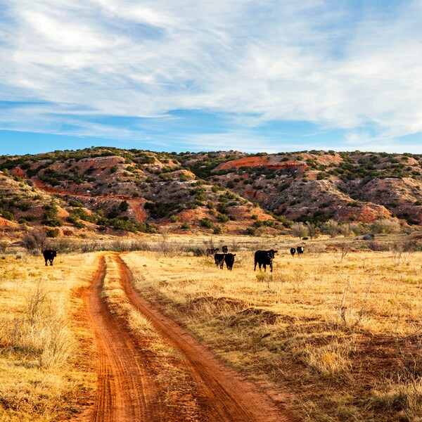 Rural Photography - Etsy