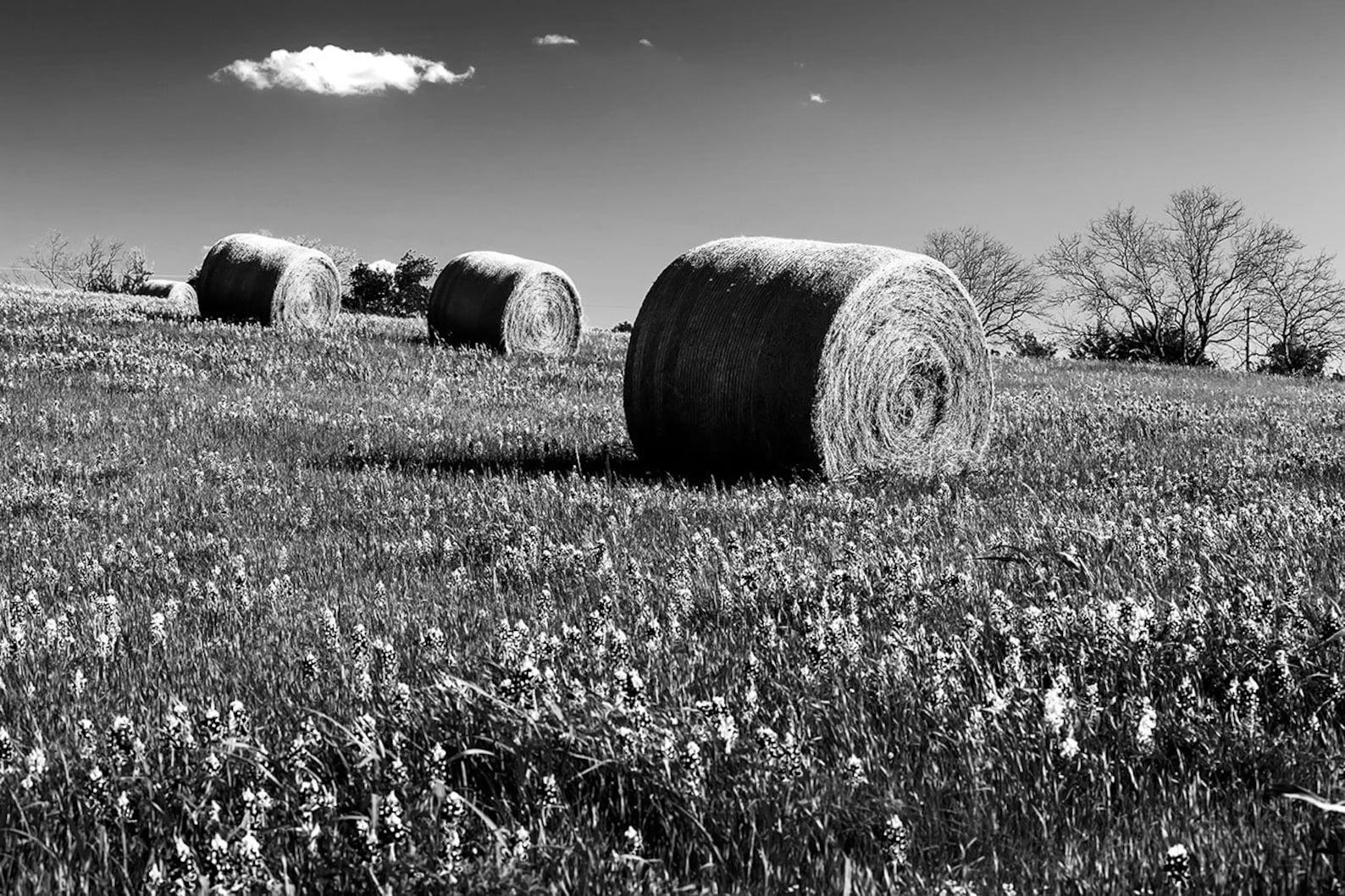 B&W Hay Bale Photo texas Hay Bales Black and - Etsy