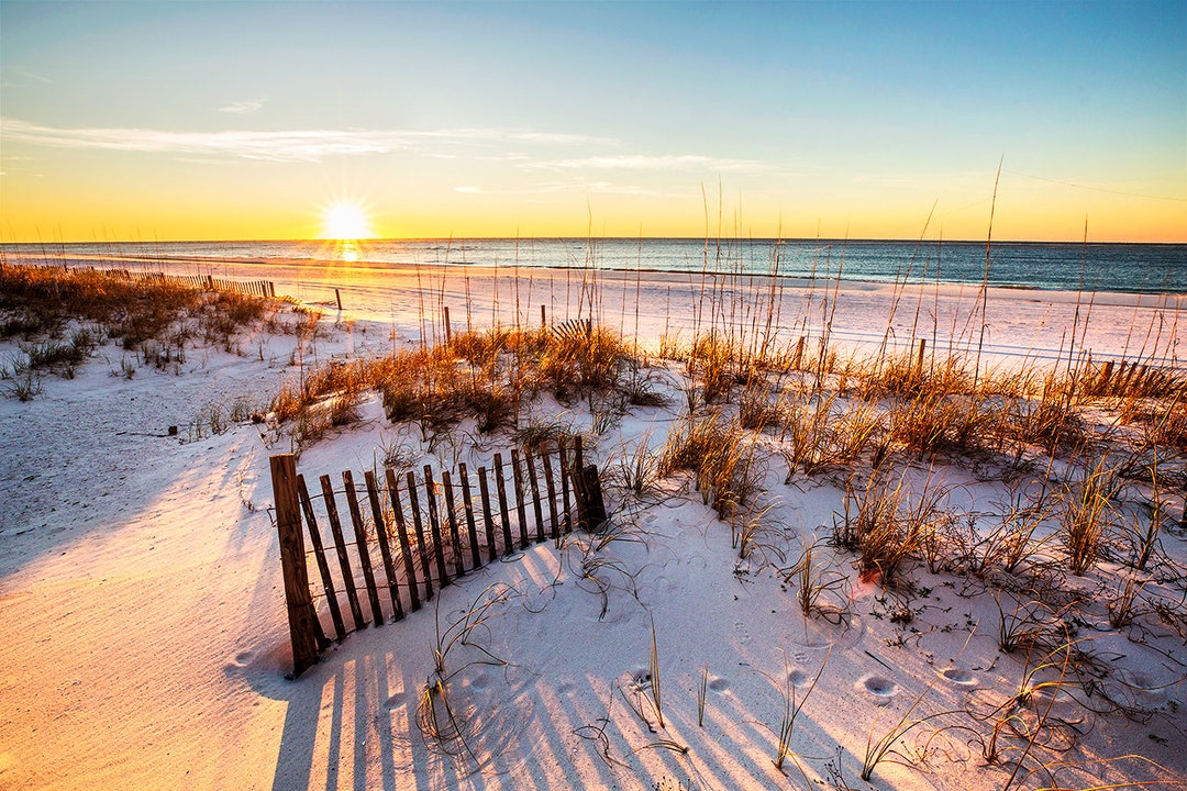 Pensacola Beach Photography | Beach Dunes Pensacola Sunrise Print ...