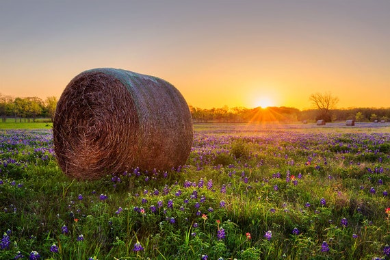Texas Photo Print hay Bale View Texas | Etsy
