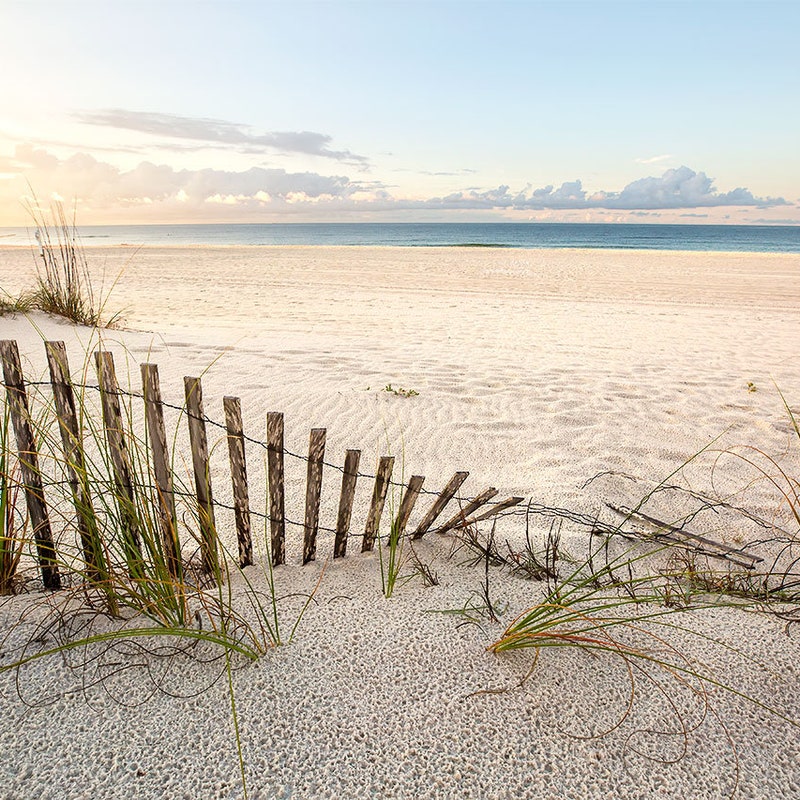 Beach Fence Decor - Etsy