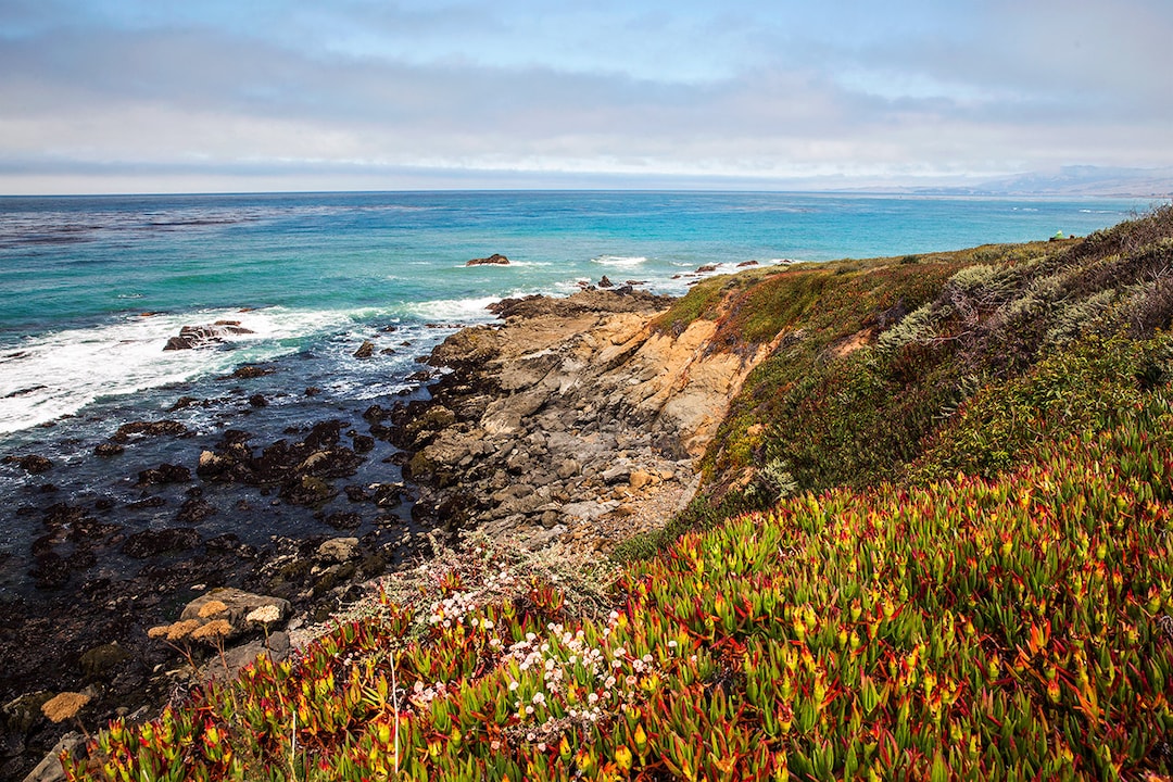 Cambria Print | "cambria Bluffs View" | Cambria California Photo ...