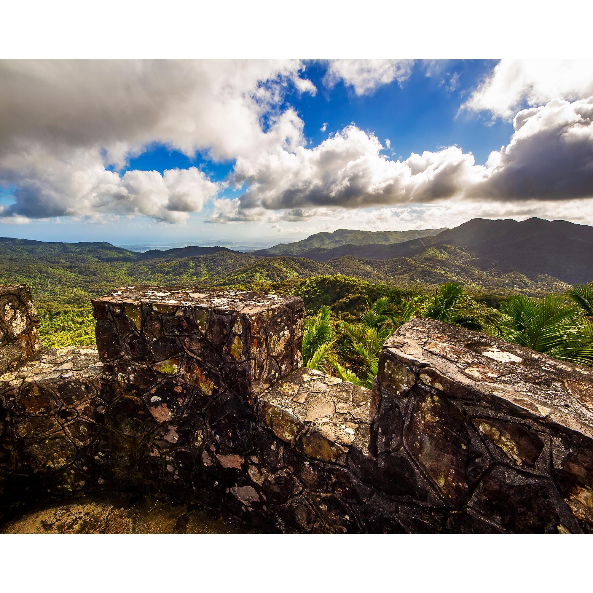 Puerto Rico Photography, Mount Britton Tower Vista, El Yunque National ...
