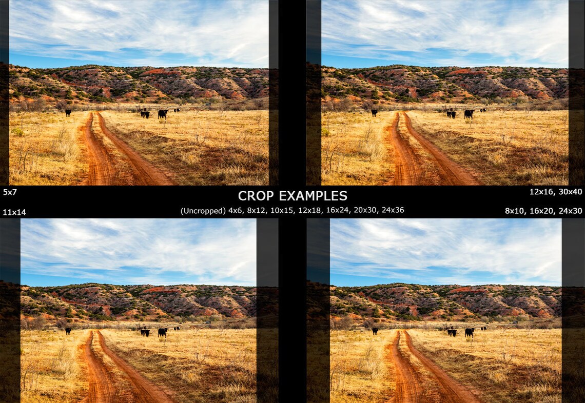 Country Photography Print Red Dirt Road Photo West Texas - Etsy