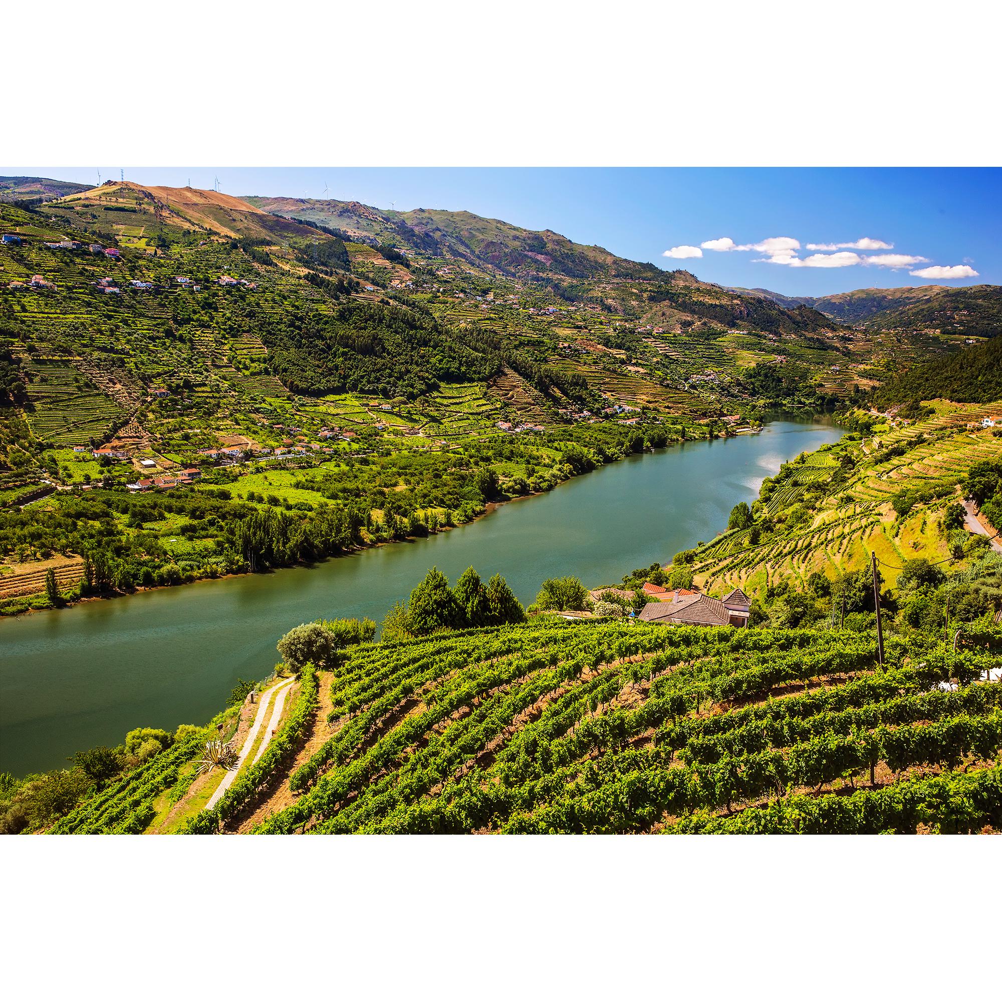 Portugal Photo Print, Douro River Valley, Portugal Wine Country ...