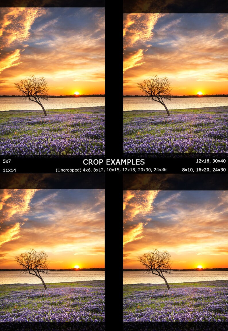 Texas Photography lake Bardwell View Texas - Etsy