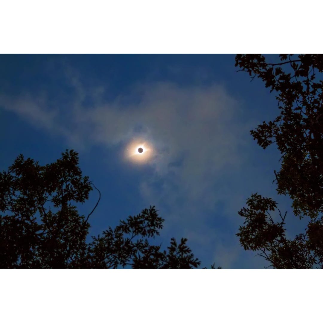 2017 Eclipse Photo, Totality Through the Trees, Blue Sky Solar Eclipse ...