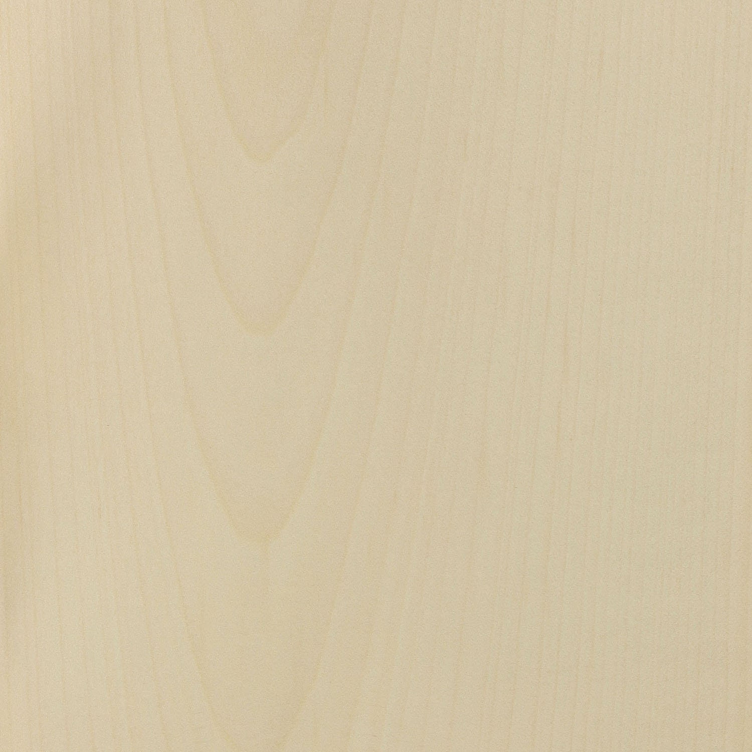 One Colour Wood Rings – BEIGE Maple Wood Medium Size Wood Veneer ...