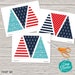 Two Cute Pennant Banner | Two Years Old | Second Birthday Banner | Boy ...