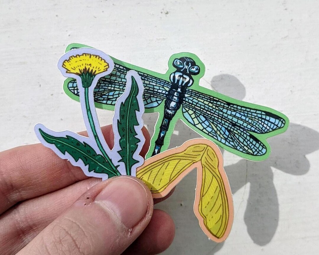 Nature Stickers - Glossy Vinyl - Dragonfly Sticker - Dandelion Sticker ...