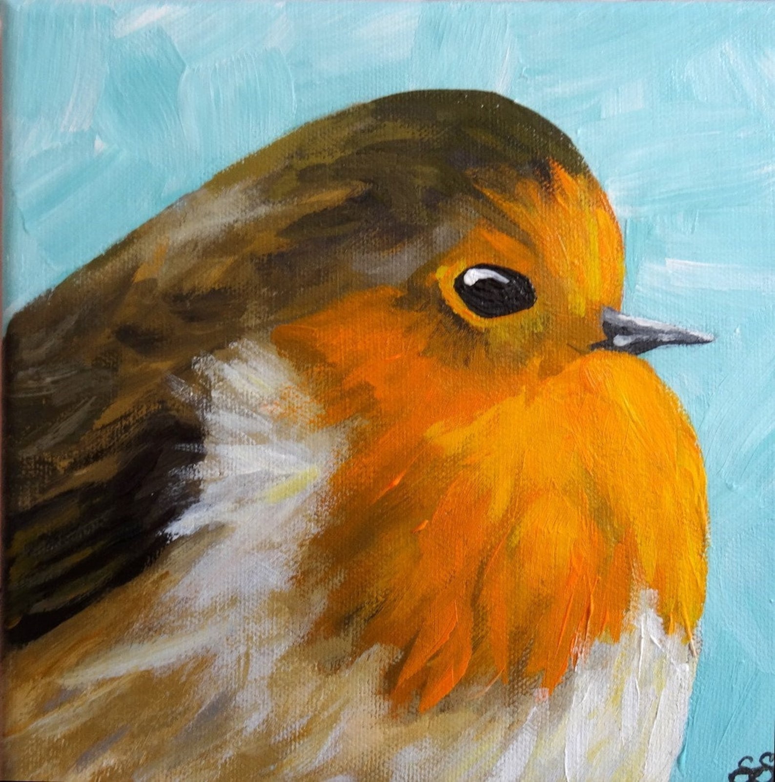 Robin Painting Original Canvas Art, 8x8 Robin Artwork, Original Bird ...