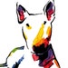 Rainbow Bull Terrrier Portrait//printable//bright Colours//animal Pop ...