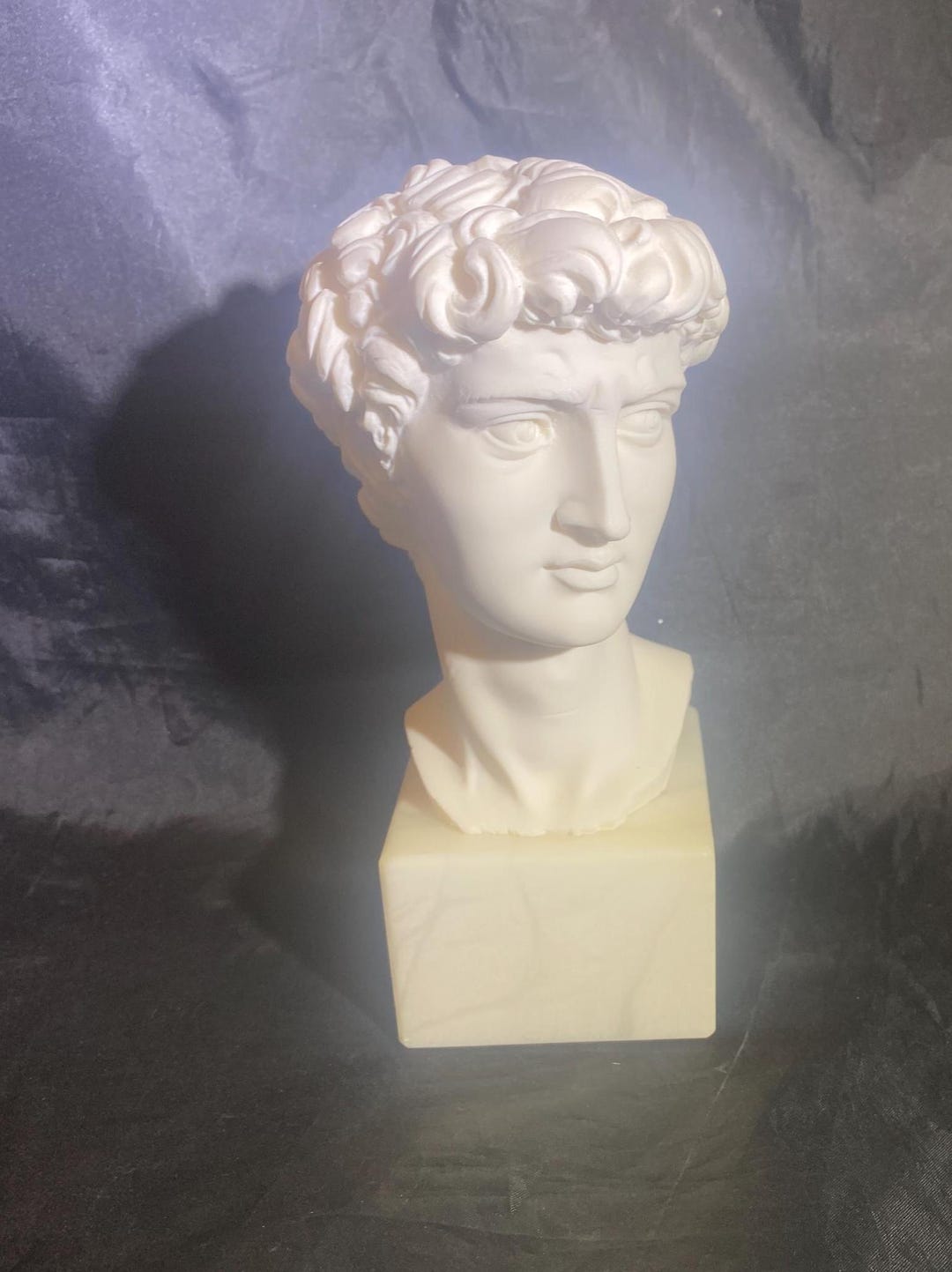 Marble Bust of David - Signed - Etsy