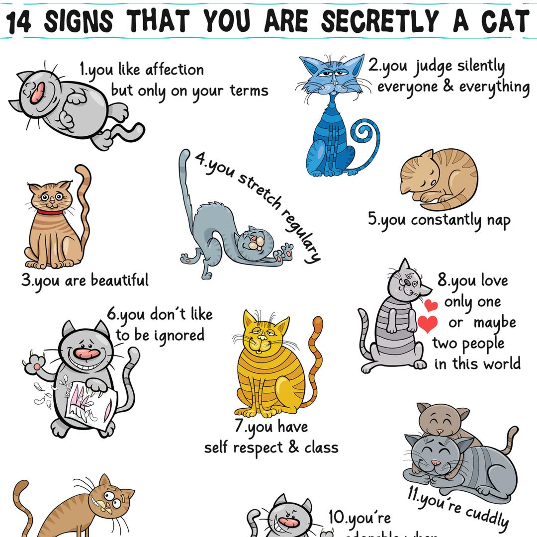Signs You're Secretly a Cat Sign, Funny Cat Owner Gift, Crazy Cat Lady ...