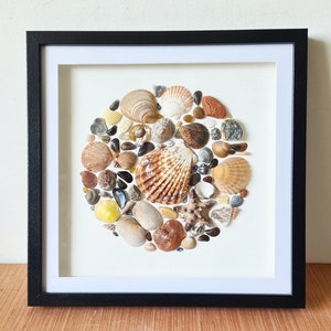 Unique Sea Shell Round Circle Wall Art in Frame Decor for Business ...