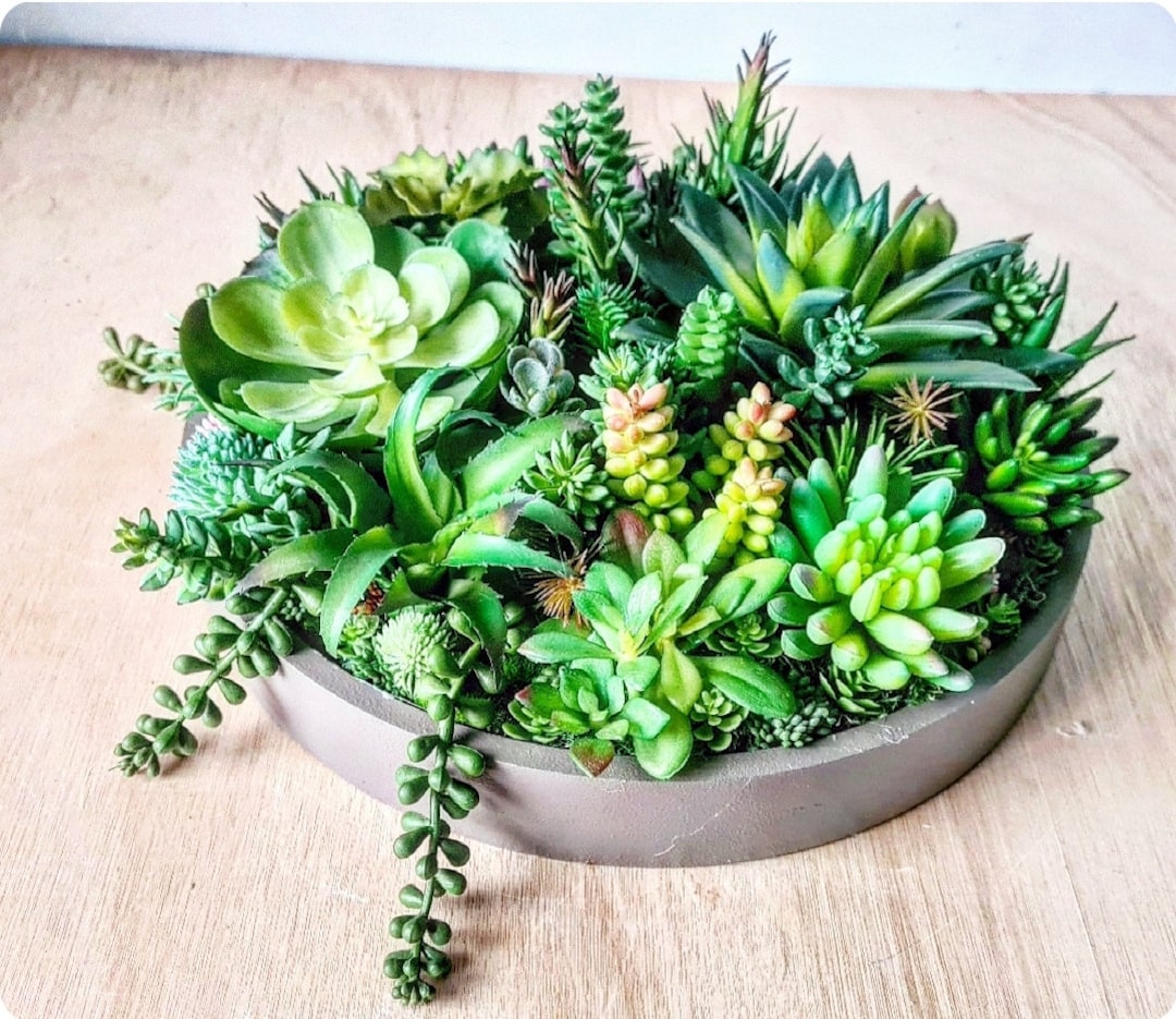 Circle 3D Round Realistic Planter With Moss Faux Artificial Succulents ...
