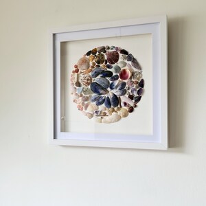 Unique Sea Shell Round Circle Wall Art in Frame Decor for Business ...