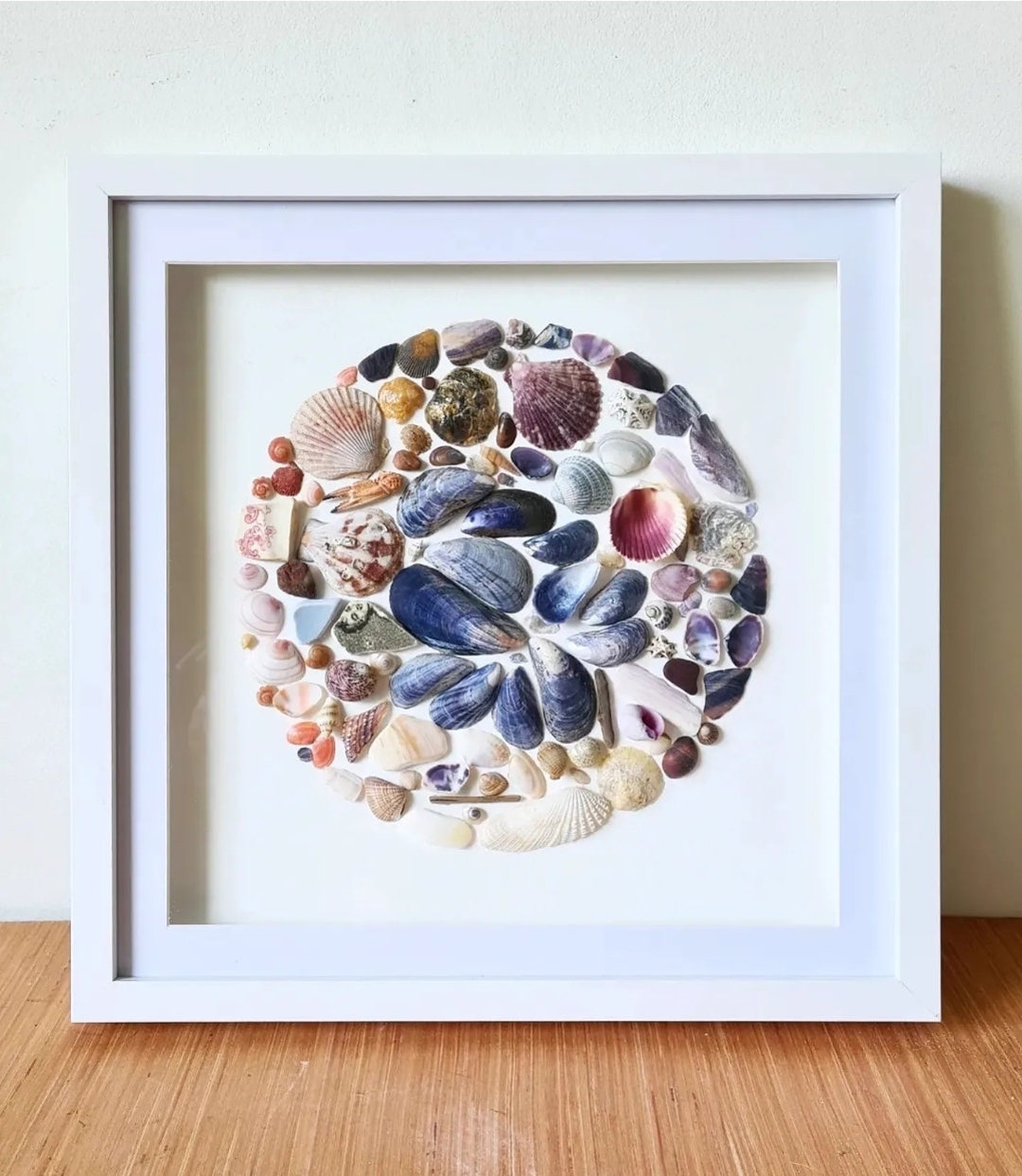 Unique Sea Shell Round Circle Wall Art in Frame Decor for Business ...