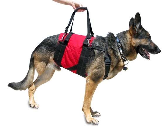 Dog support harness store