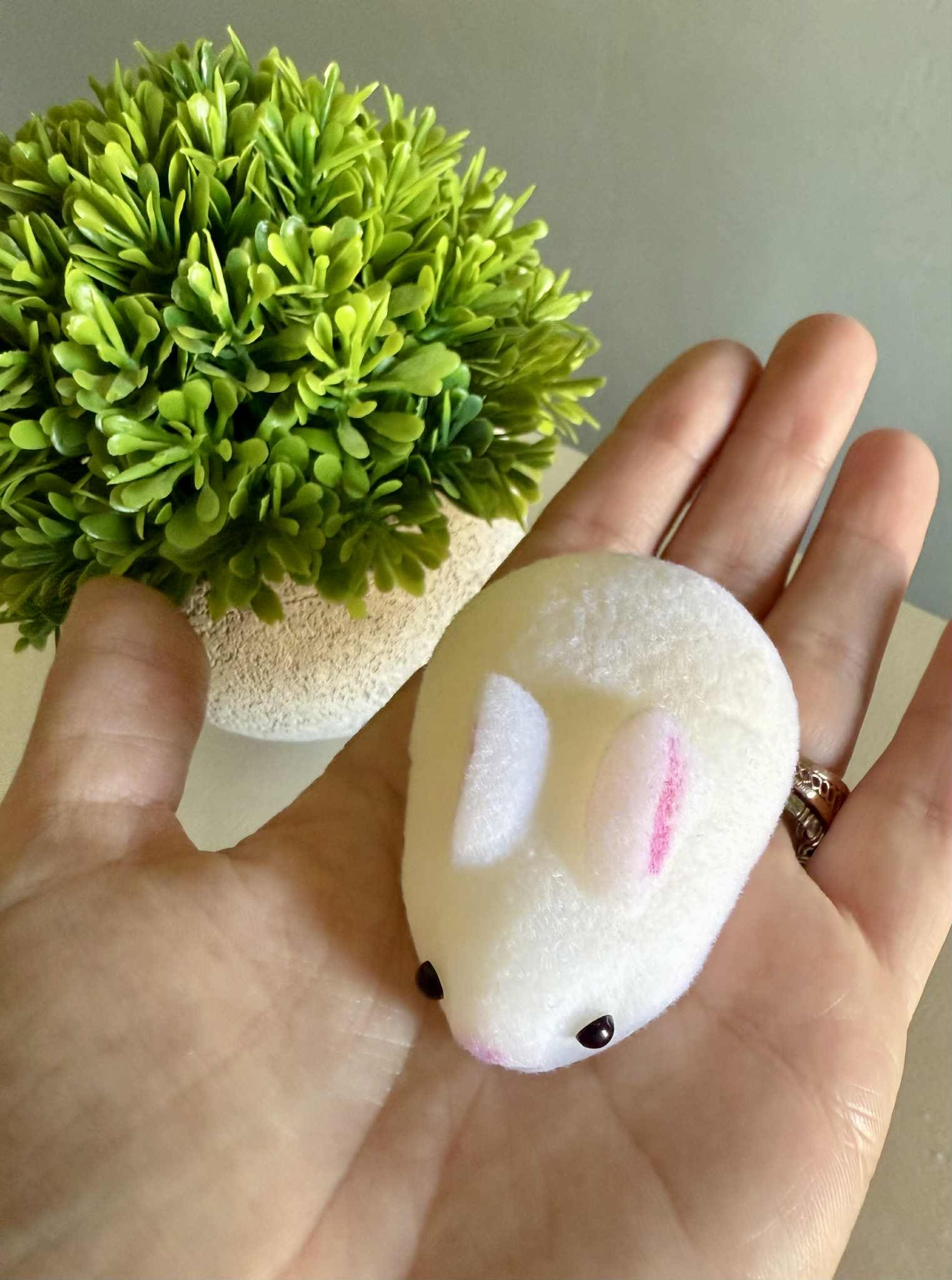 Bunny Taba Squishy, Taba, Stress Relief, Desk Toys, Fidget, Animals ...