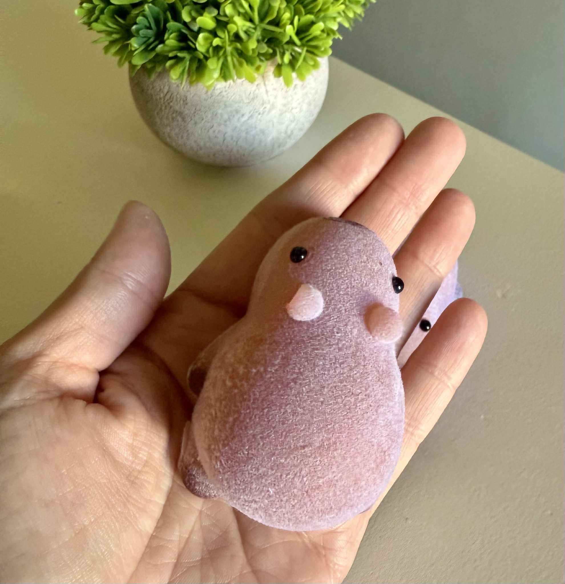 Bunny Taba Squishy, Taba, Stress Relief, Desk Toys, Fidget, Animals ...