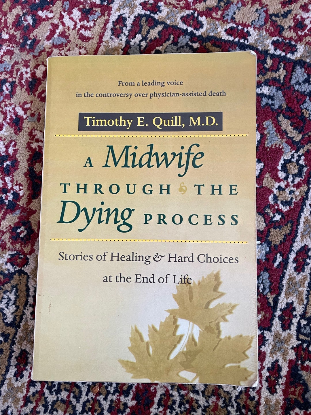 A Midwife Through the Dying Process: Stories of Healing and Hard ...