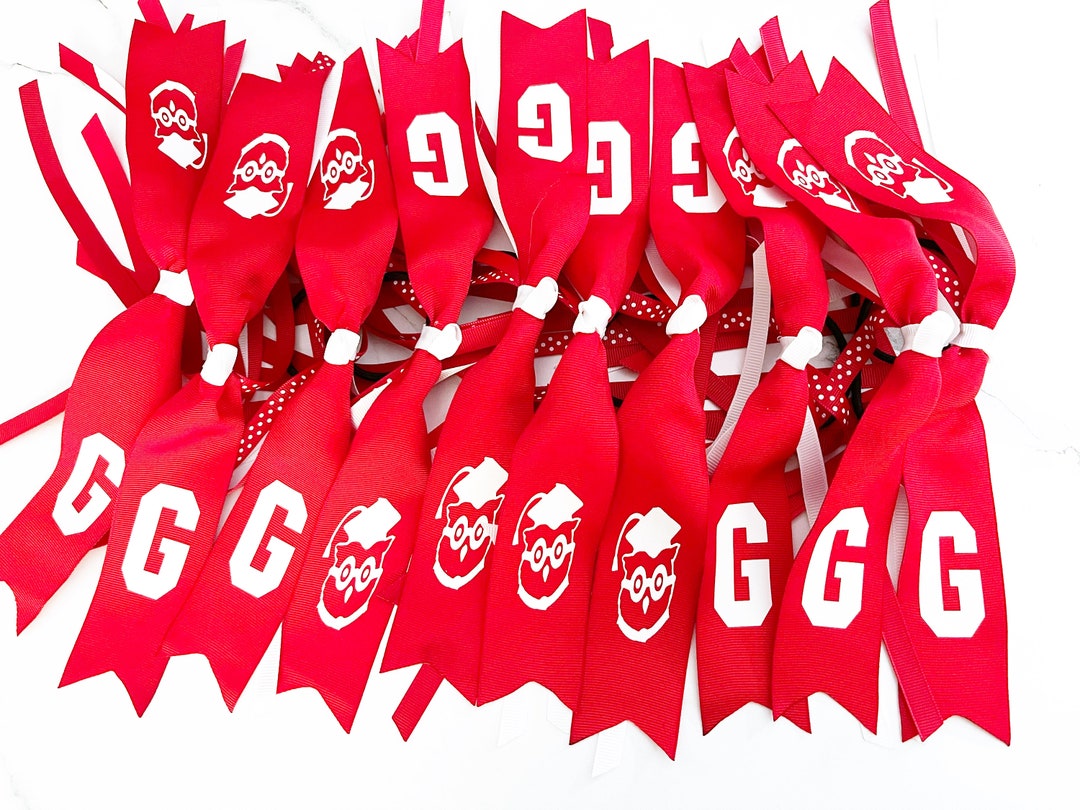 School Fundraising Idea, School Fundraiser, School Spirit Wear, School ...