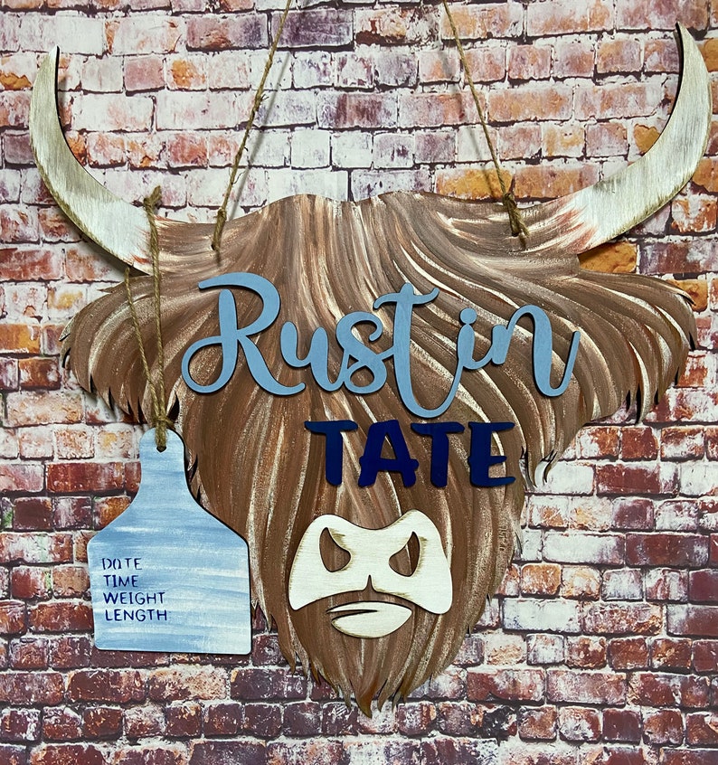 Highland Cows for Boys - Etsy