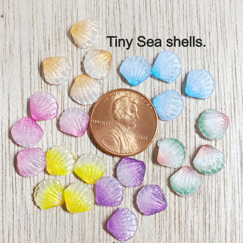 Mini Sea Shells - Etsy