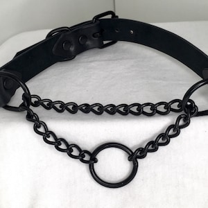 Handcrafted Kinky BDSM Leather Martingale Pet Play Collar in Black Hardware (multiple Leather ...