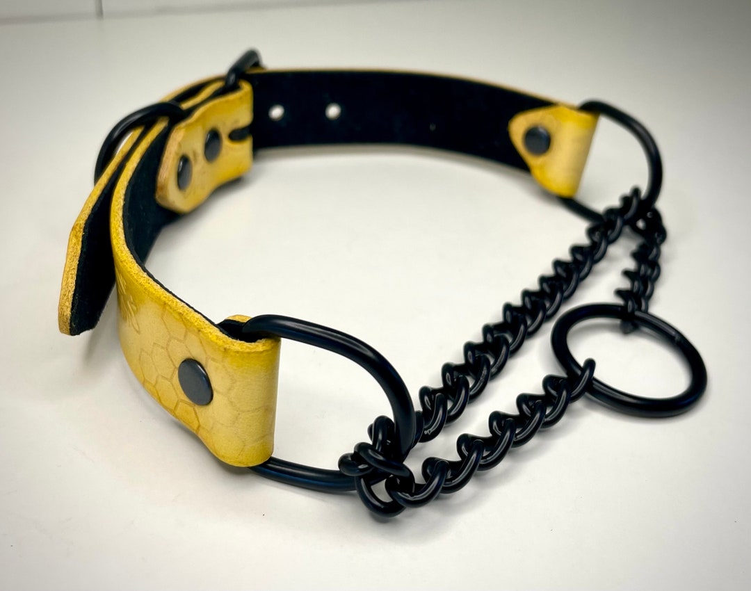 Pre-made Yellow Leather Honey Bee Stamped Martingale Collar Pet Play ...