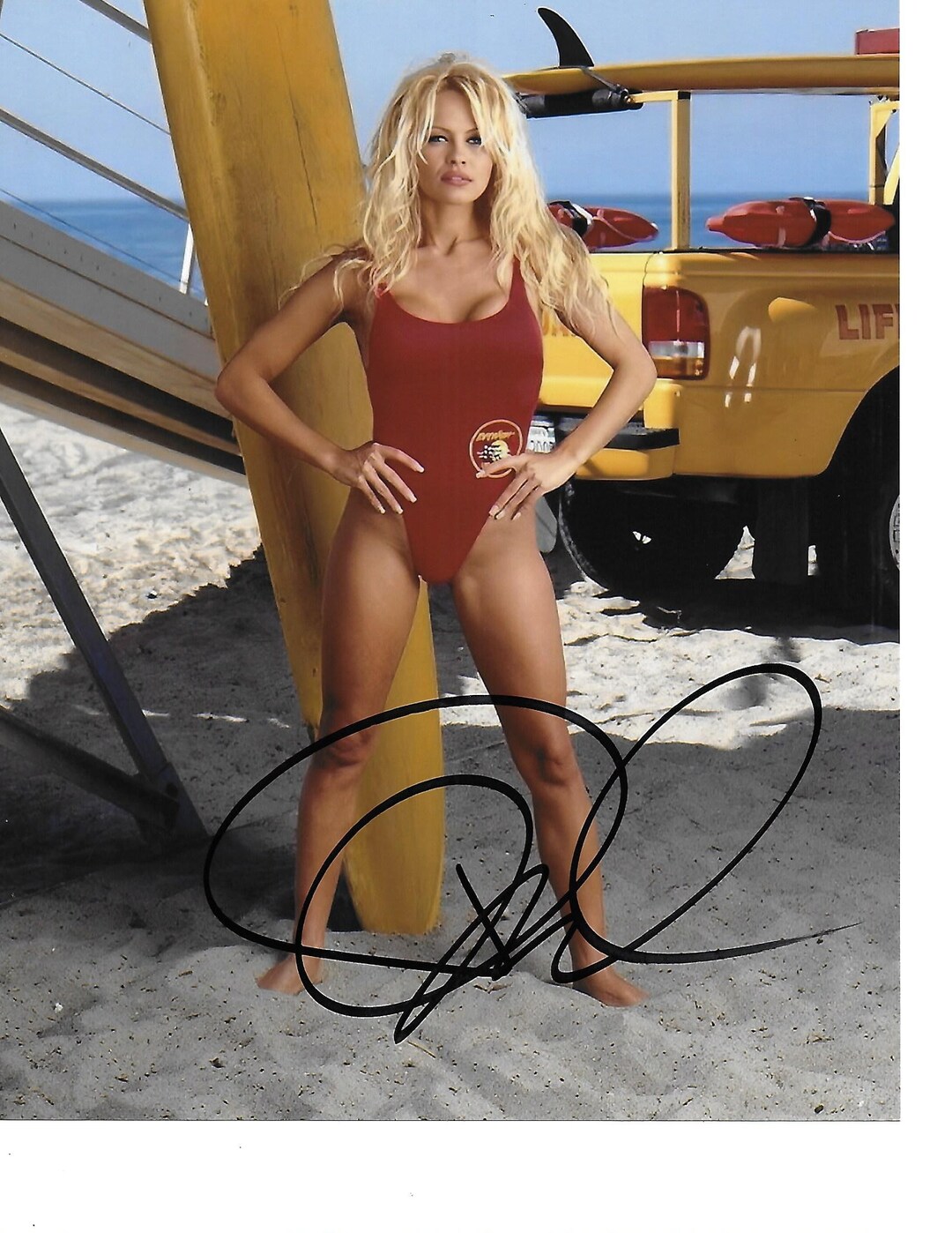 Beautiful Actress Pamela Anderson Nicely Autographed 8x10 Tv Series Promo Pic - Etsy