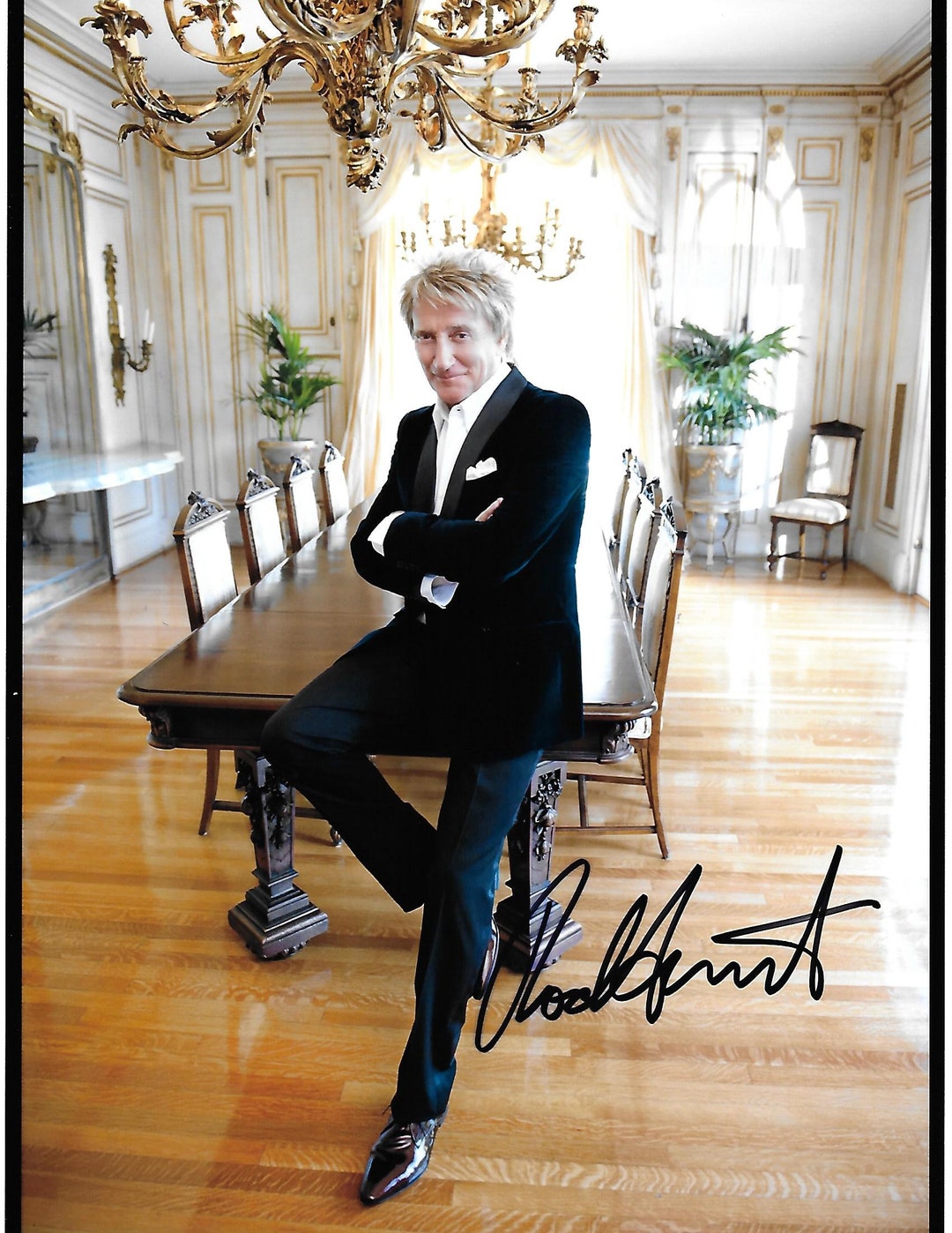 Iconic All Around Singer ROD STEWART Authentic Autographed - Etsy