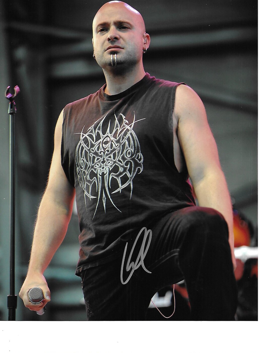 Singer Songwriter Lead Vocalist DAVID DRAIMAN Signed 8x10 Concert Pic ...