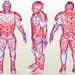 Savitar Eva Foam Templates to Build Your Own Body Armor - Etsy
