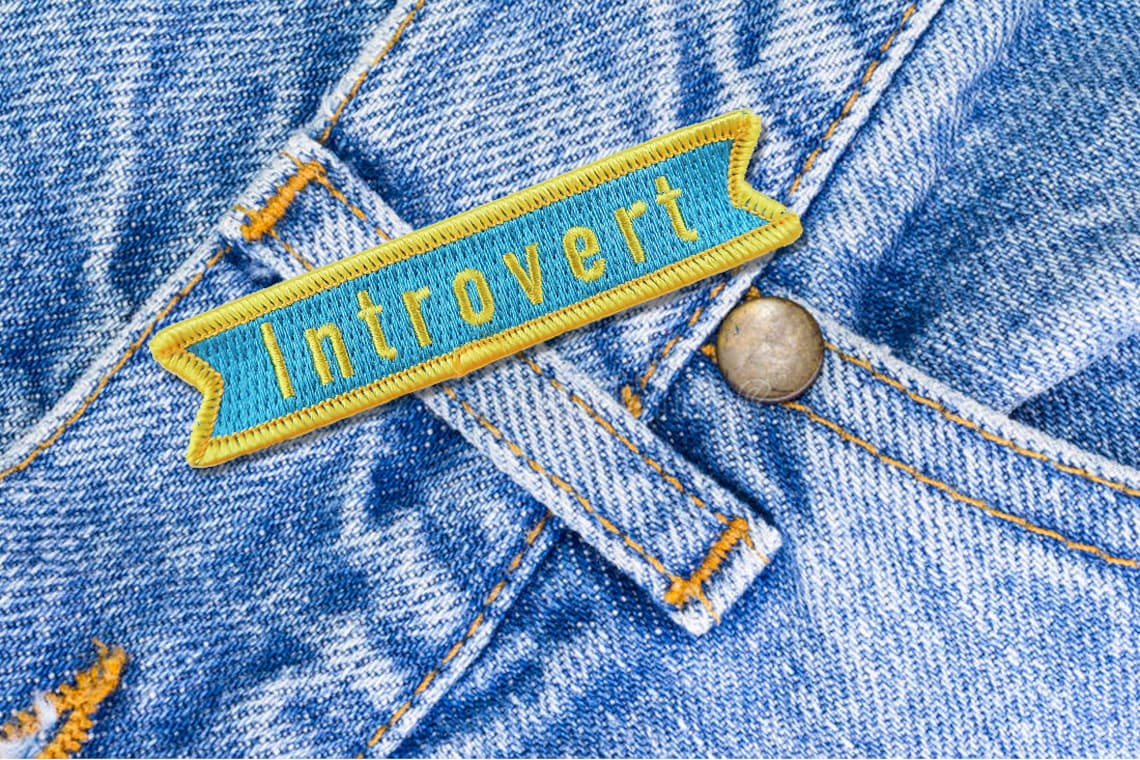 Introvert Iron on Embroidered Patch Flair Sew on Patches - Etsy