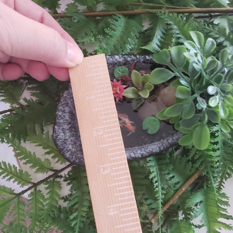 Miniature Koi Pond the Oyster Shell - Etsy