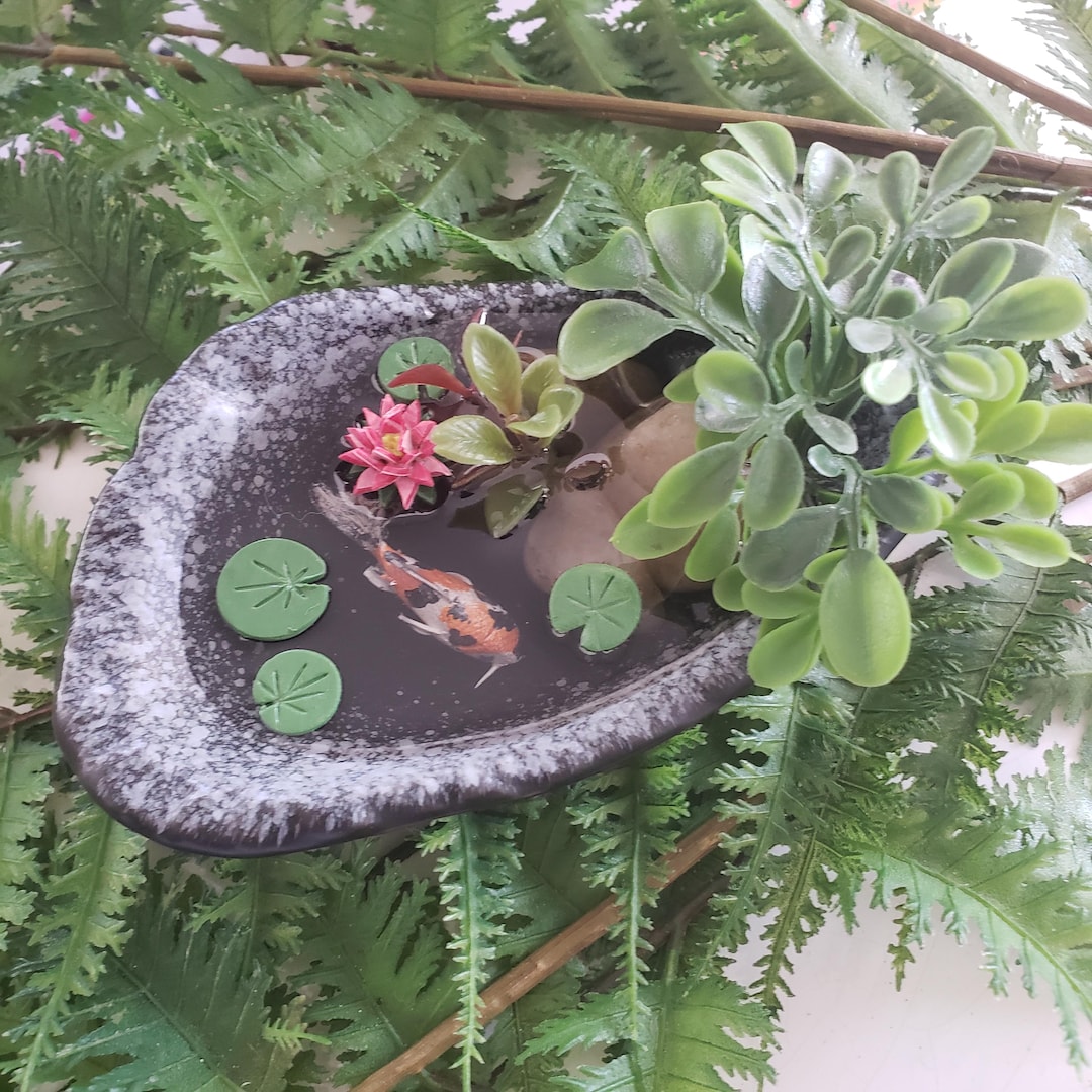 Miniature Koi Pond the Oyster Shell - Etsy